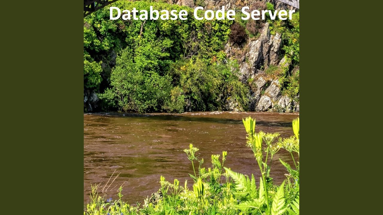 Database Code Server