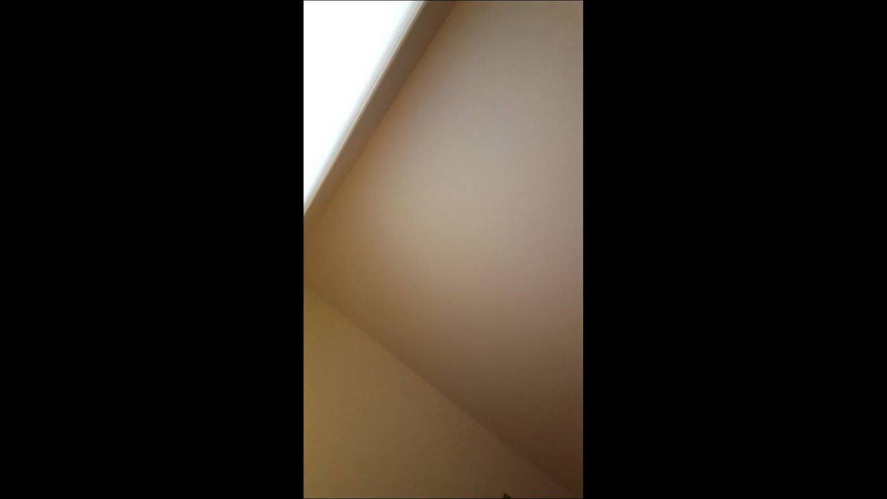 Danae Lee Riptide Cover by Vance Joy