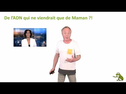 De L’ADN qui ne viendrait que de Maman ?!