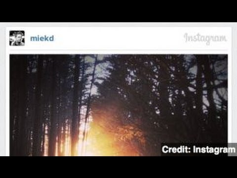 Instagram Increases Shareability with Embed Codes