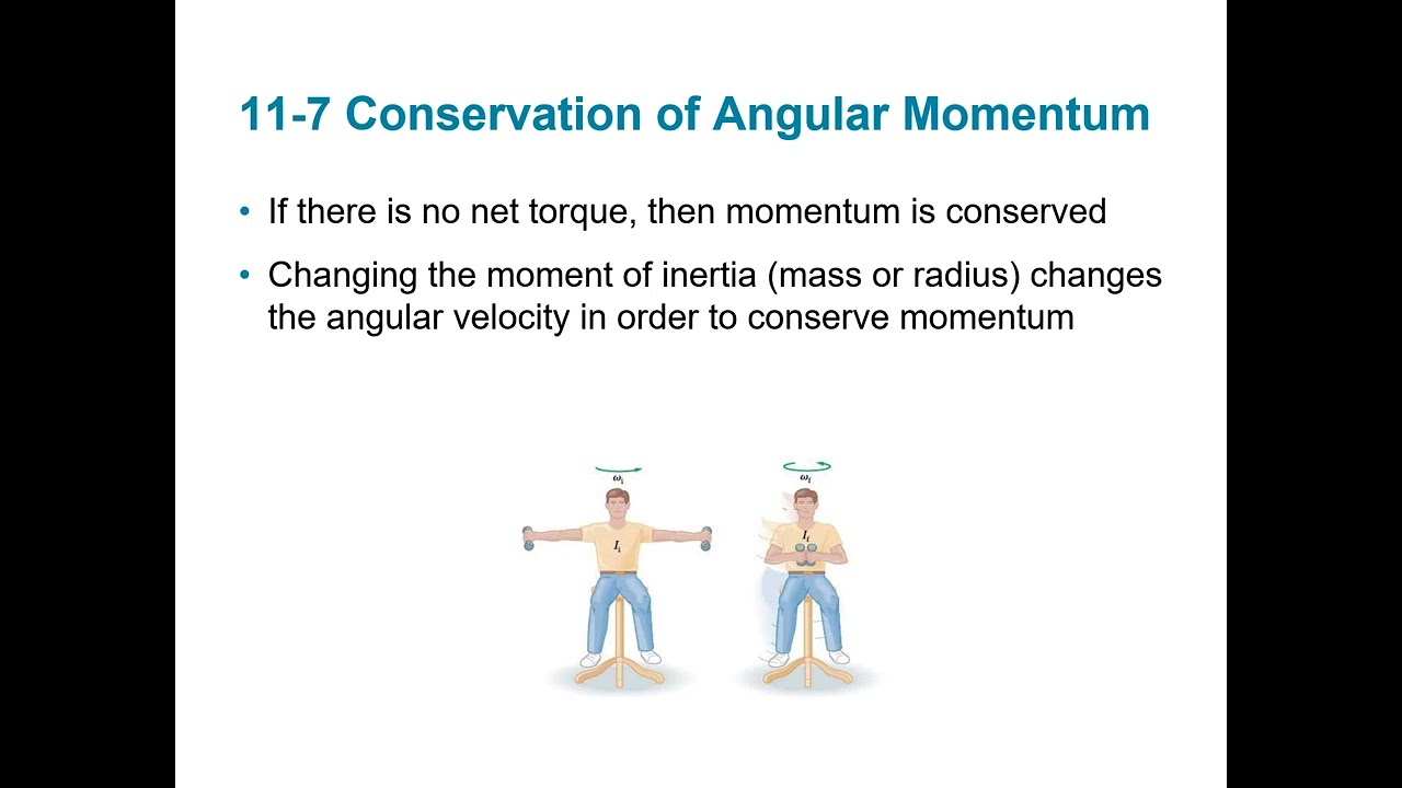 Chapter 11 PowerPoint Video