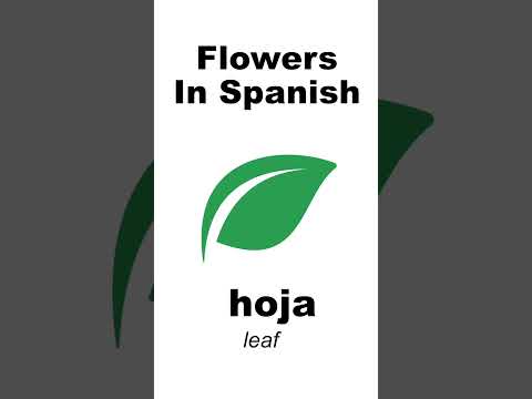 Learn Spanish - Flowers (SimpleSpanish)