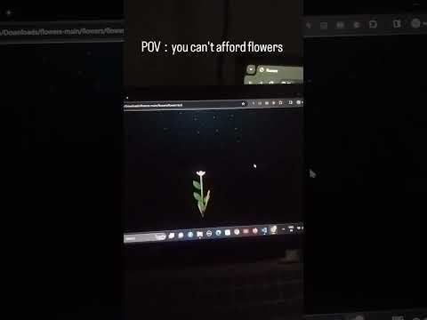 Blossoming Flowers at Magical Night Animation in Pure CSS | Demo Coding