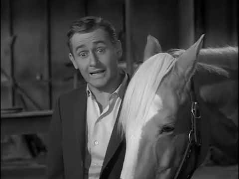 On This Day In 1961 - "Mr. Ed" Debuted ! – BoomerFlix.com - Classic TV ...