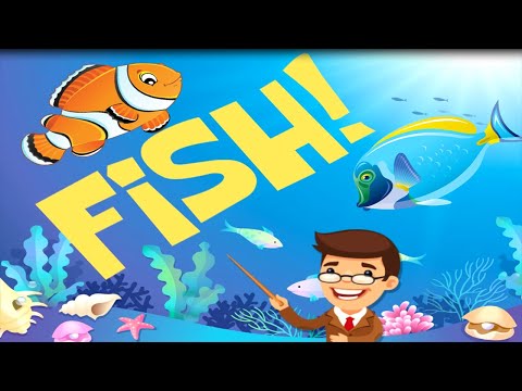 Learn About Fish | Science for Kids