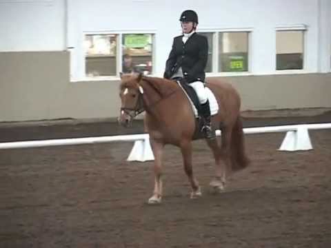 USEF/USDF Dressage Training Level Test 1