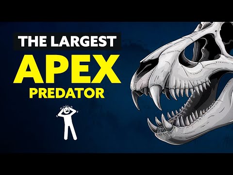 What Are The Largest Apex Predator In History | UNSOLVED