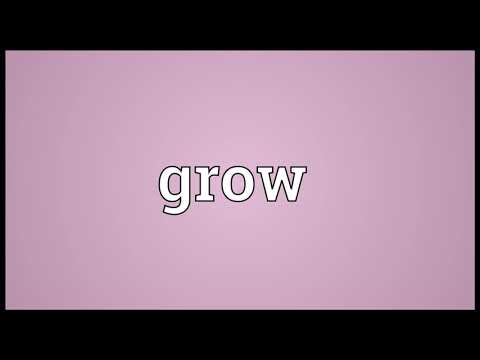 grow meaning in English