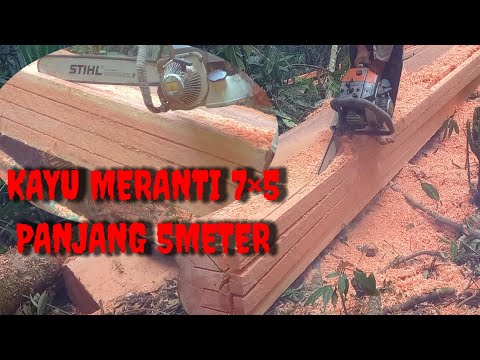 KAYU MERANTI BUAT BALOK 7×5 PANJANG 5METER#STIHL#BAHANRUMAH