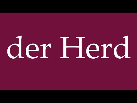 How to Pronounce ''der Herd'' (the Stove) Correctly in German