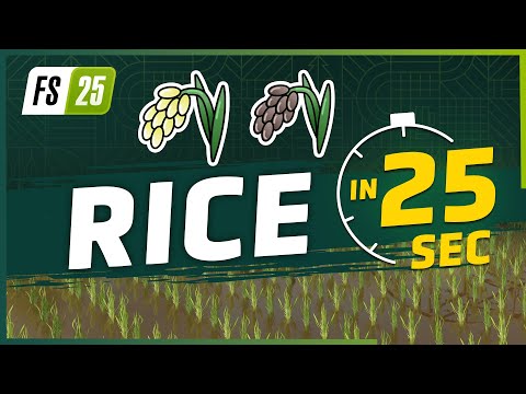 Rice farming to make its debut in Farming Simulator 25 - News ...