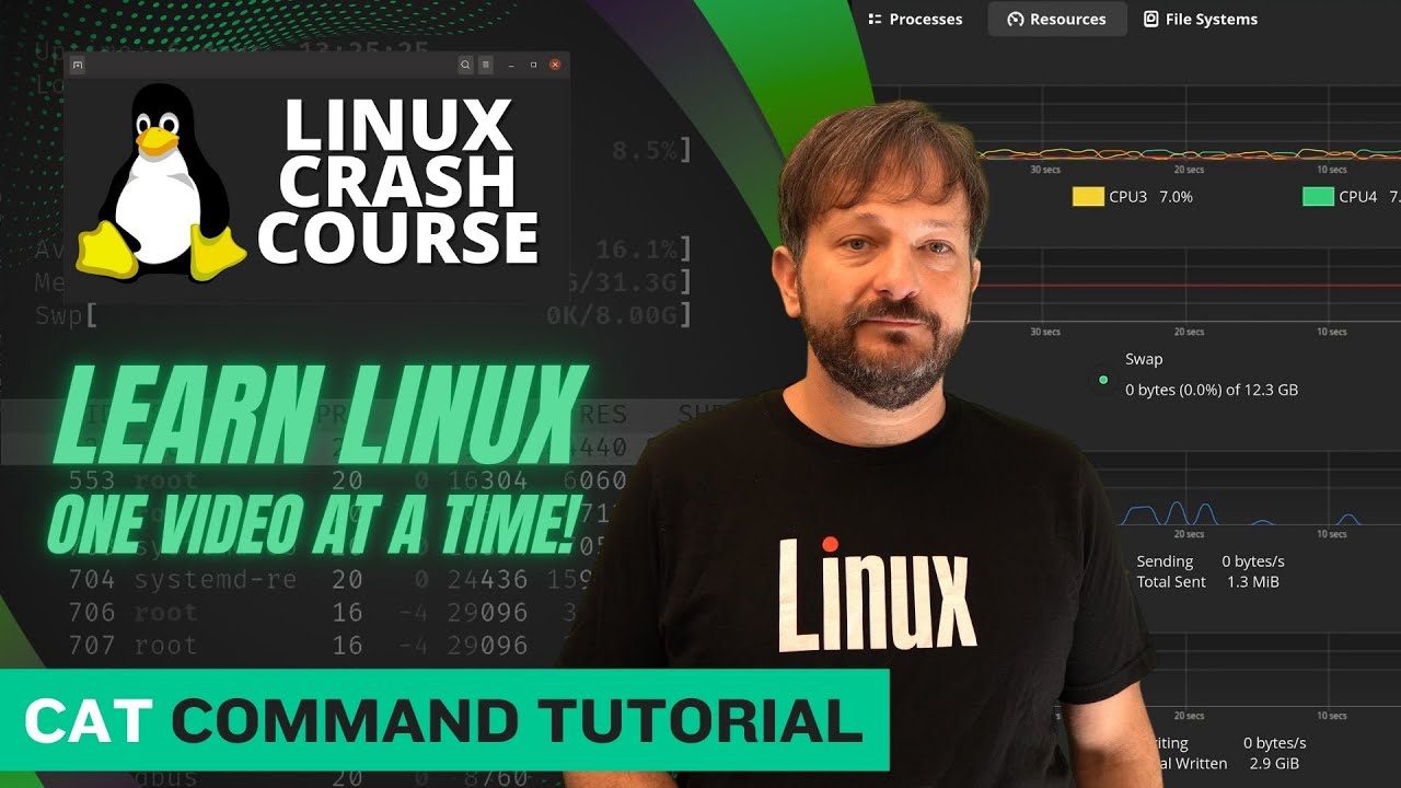 The cat Command in Linux (Featuring Real Cats) - Linux Crash Course Series
