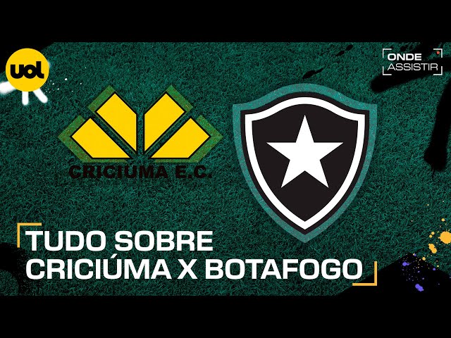 Transmissão Ao Vivo De Criciúma X Botafogo Veja Onde Assistir