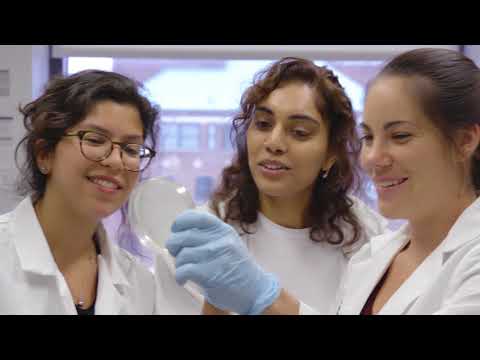 50th Anniversary: Dr. Michael Palese's Story