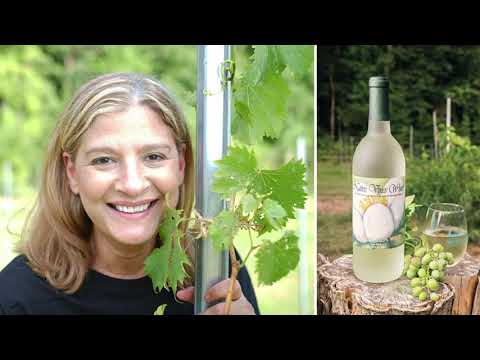 Tar Heel Traveler: Native Wines Winery