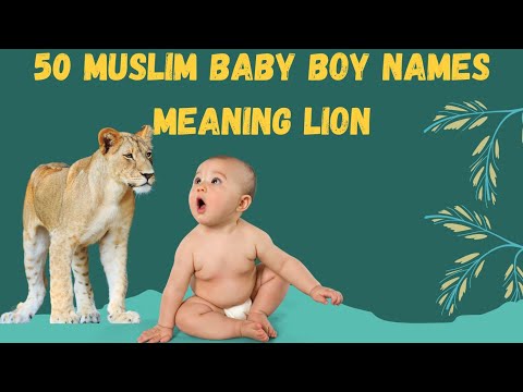 Top 50 Muslim Baby Boy Names Meaning Lion|Best Names Meaning Lion