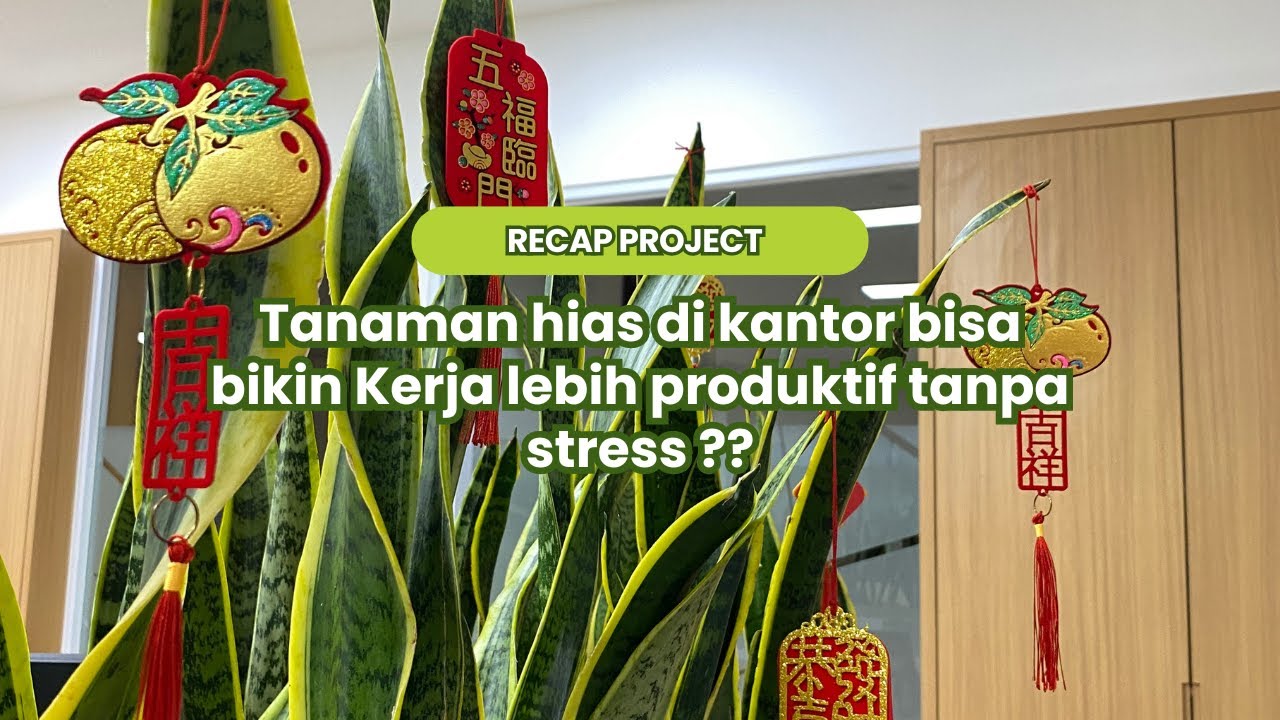 SEWA TANAMAN HIAS UNTUK KANTOR DI JAKARTA
