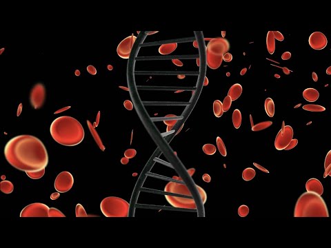 What is Chromosome