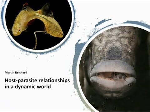 Martin Reichard: Host-parasite relationships in a dynamic world