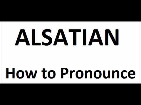 How to pronounce Alsatian||How to say Alsatian||Alsatian Pronunciation||AbDictionary