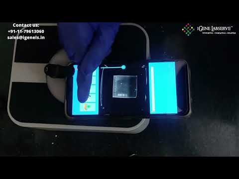 Gel Documentation System - Gel Imaging System Latest Price ...