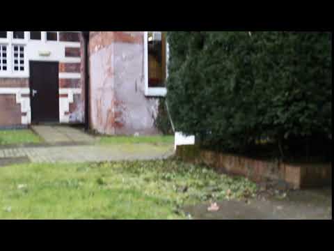 ISO – Daniel Stinton's Moving Image Blog