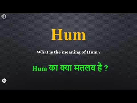 Hum meaning in Hindi | Hum ka kya matlab hota hai | daily use English words