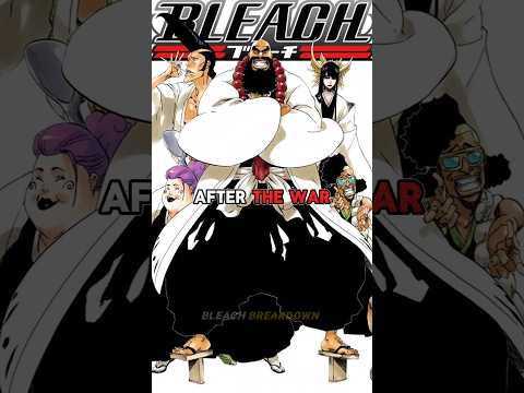 Squad Zero’s Secret: Are They Truly Gone After the War? #anime #bleach #manga #bleachanime