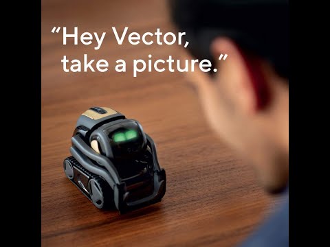 Vector Robot features, importance, review & What can Vector robots do?