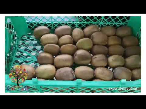 Kiwi - Wholesale Price & Mandi Rate for Fresh Chinese Gooseberry