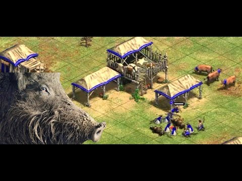 Steam Community :: Video :: Age of Empires 2: Luring a boar can be fun ...