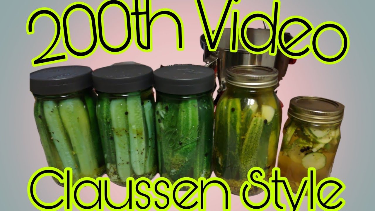 Best Claussen style Fresh Pack pickles