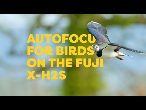 Fuji X-H2S: Autofocus settings for birds