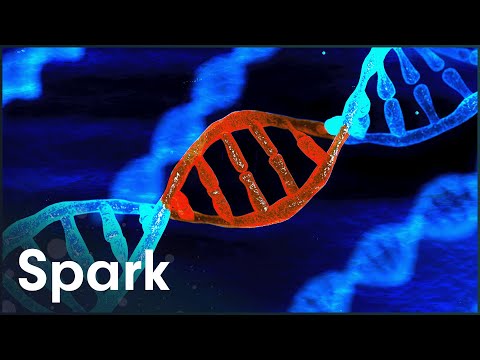 The Ethical Dilemma Of Genome Editing | The CRISPR Revolution