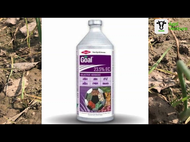 Herbicides Manufacturers & Suppliers In India - Oxygold Oxyfluorfen 23% ...