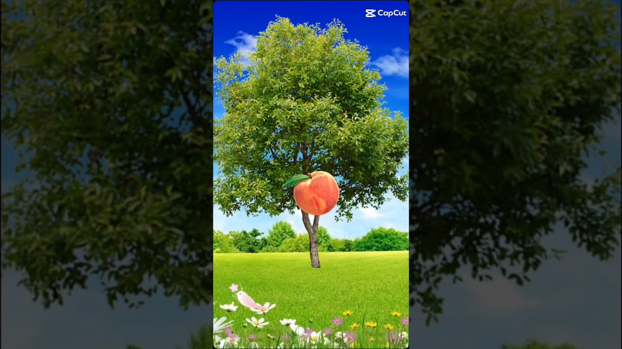 pdf.file = ava hris tyson