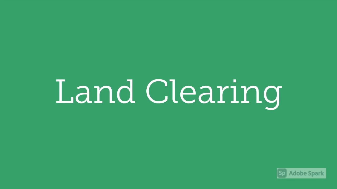 Superior Tree Service