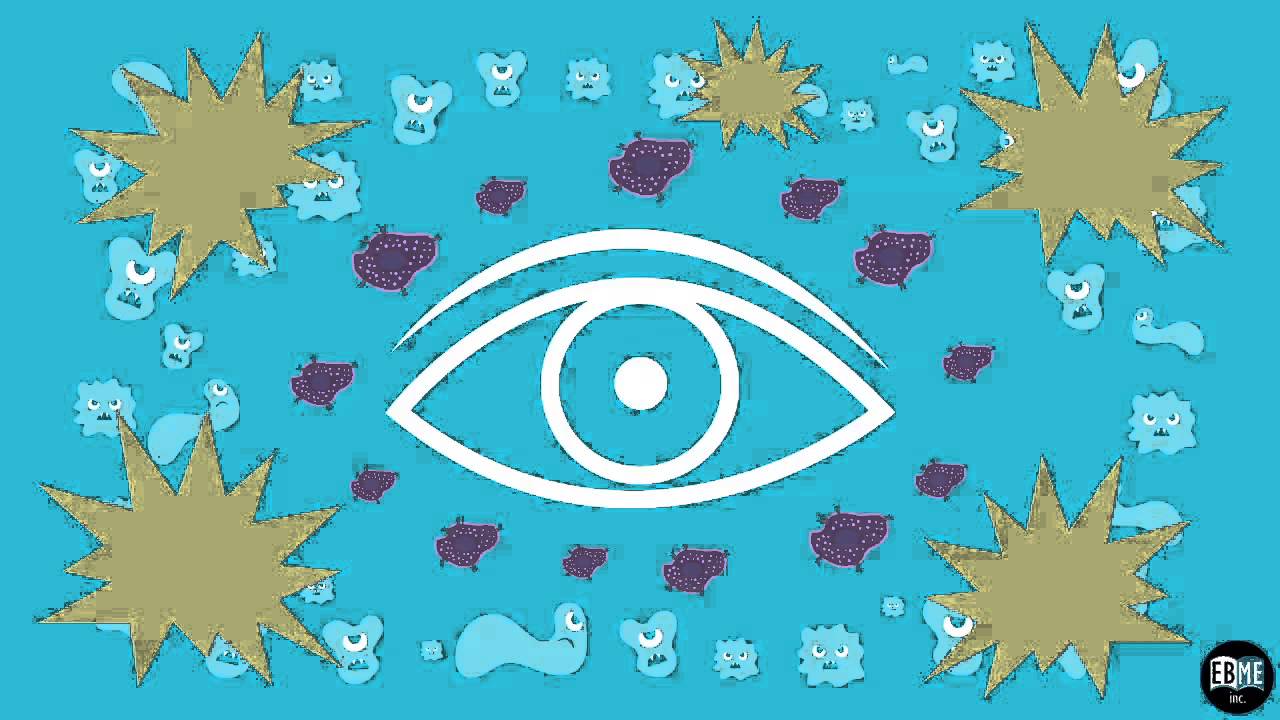EBME Inc. Ocular Allergies Chapter One