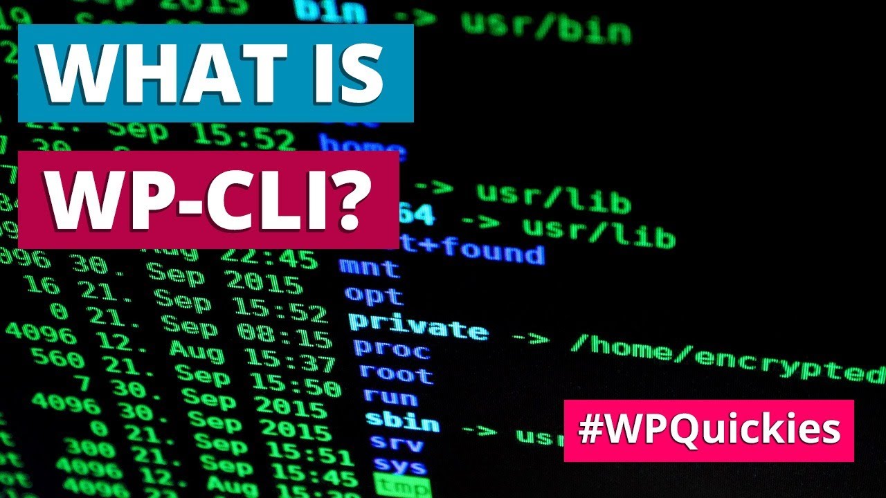 What Is WP-CLI? - WPQuickies