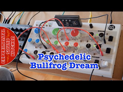 Erica Synths Bullfrog Desktop Monophonic Synthesizer 2023 - | Reverb