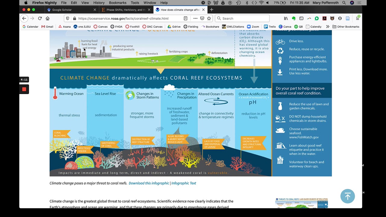 Journal Article vs Website