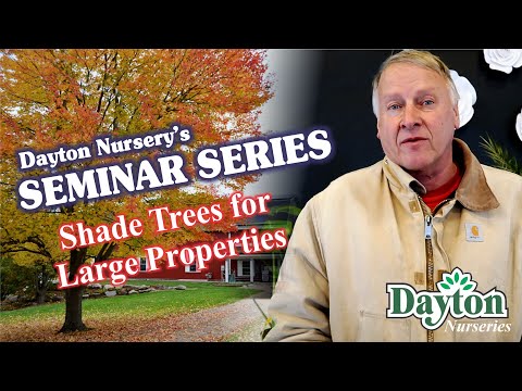 The Best Shade Trees for Large Properties