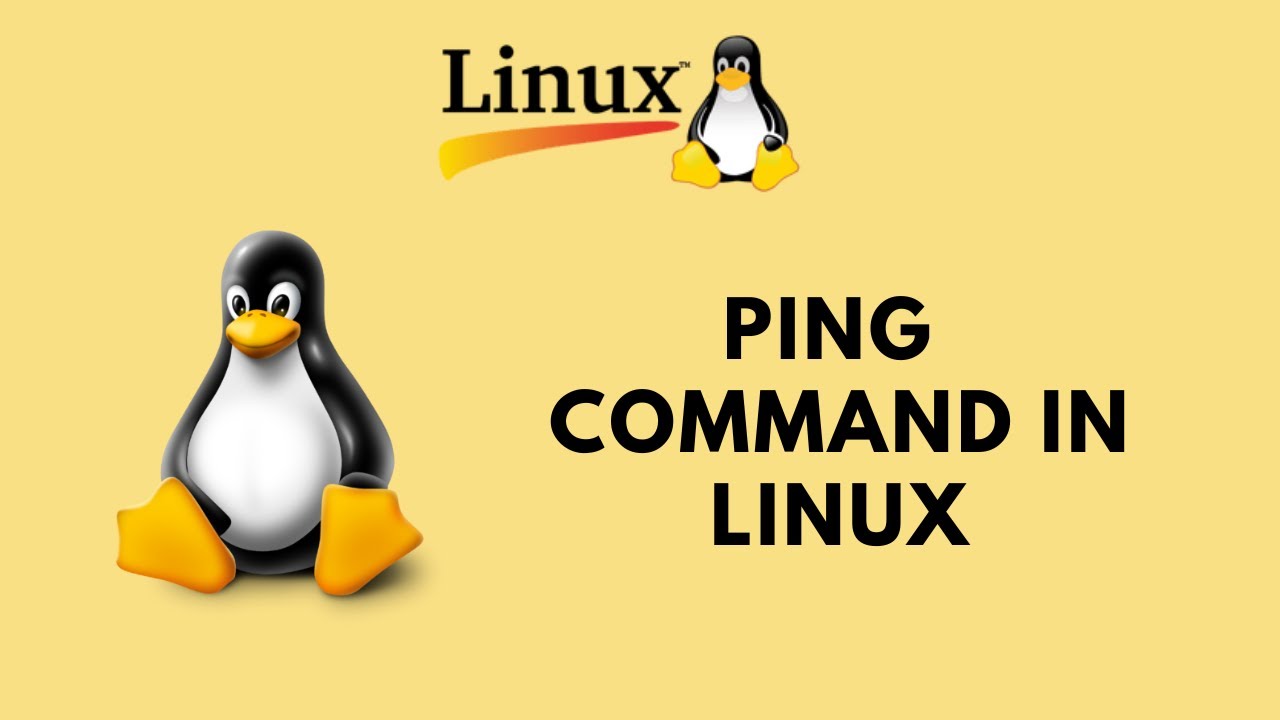 Linux Command Line Basics Tutorials - Ping Command in Linux