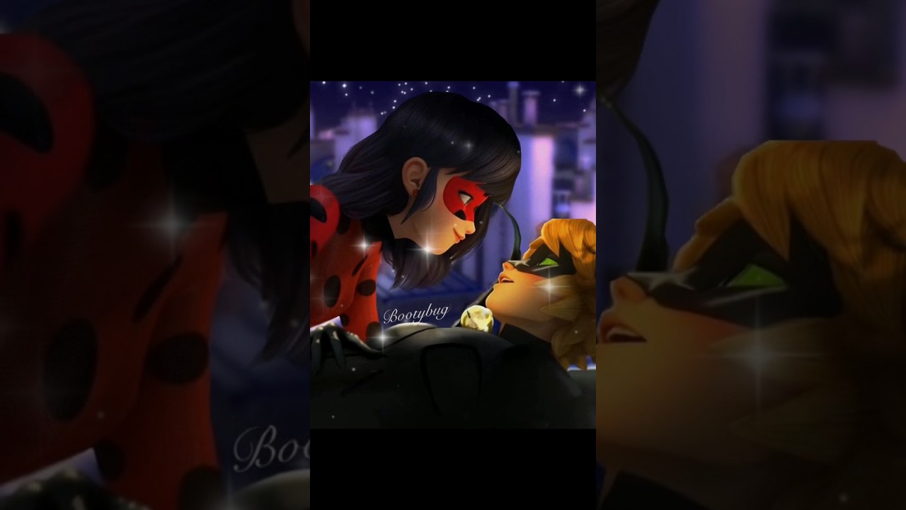 Cat Noir and Ladybug #kiss #ladynoir #danceinthenight