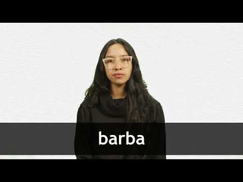English Translation of “BARBA” | Collins Spanish-English Dictionary