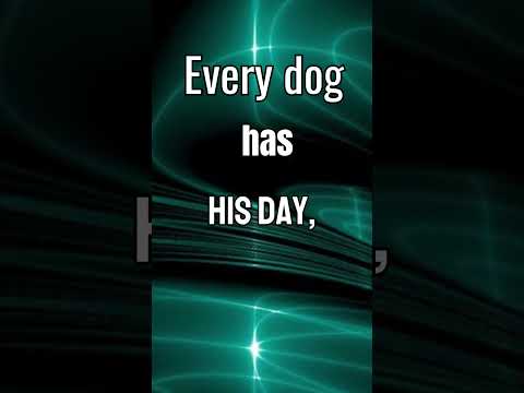 Every Dog Has His Day