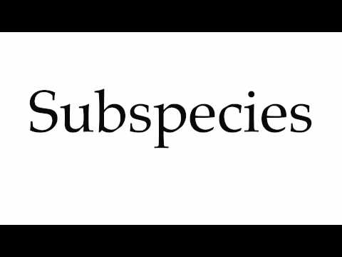 How to Pronounce Subspecies