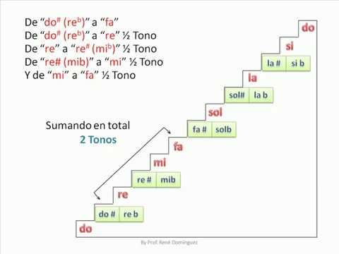 Tono y 1/2 Tono | Mi Clase de Música