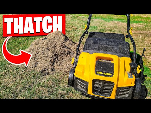 Dethatching a Lawn - What is it and Why do it?