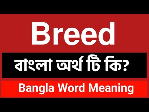 Breed শব্দের বাংলা অর্থ কি? Breed এর অর্থ কি? Breed bangla meaning
